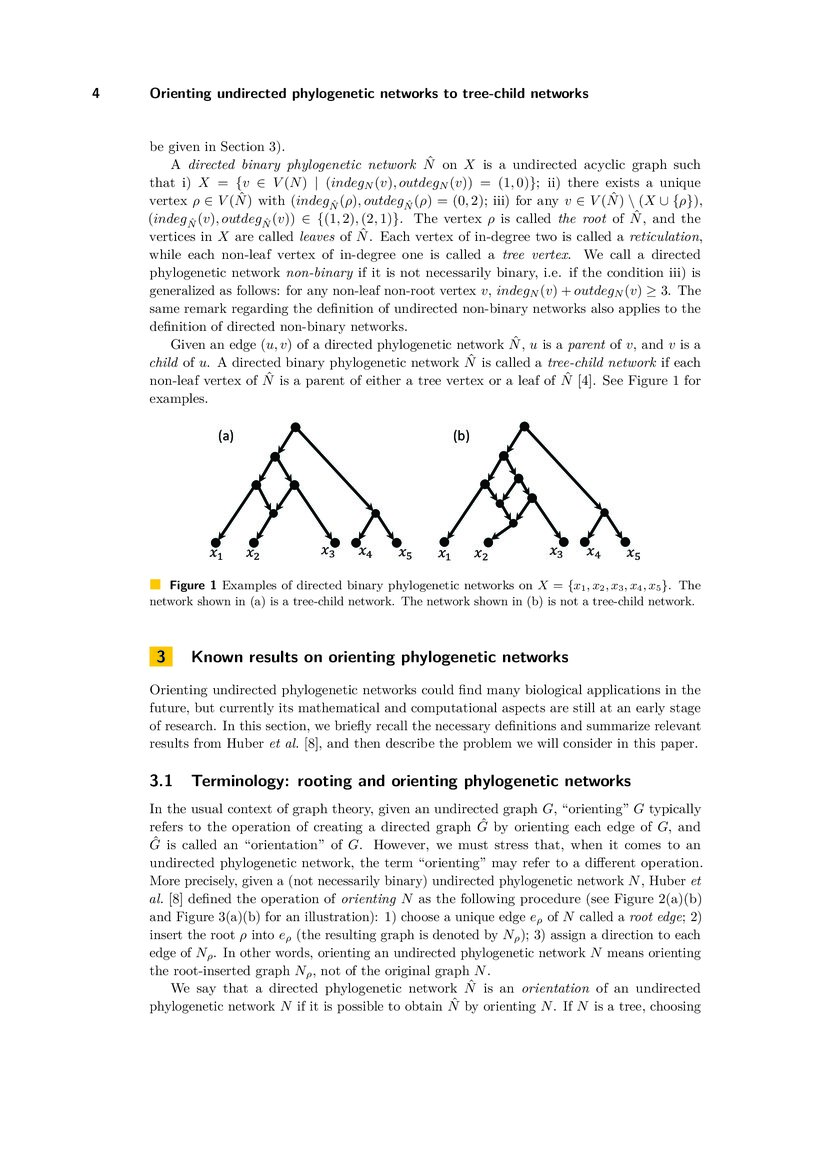 Orienting undirected phylogenetic networks to tree-child network | DeepAI