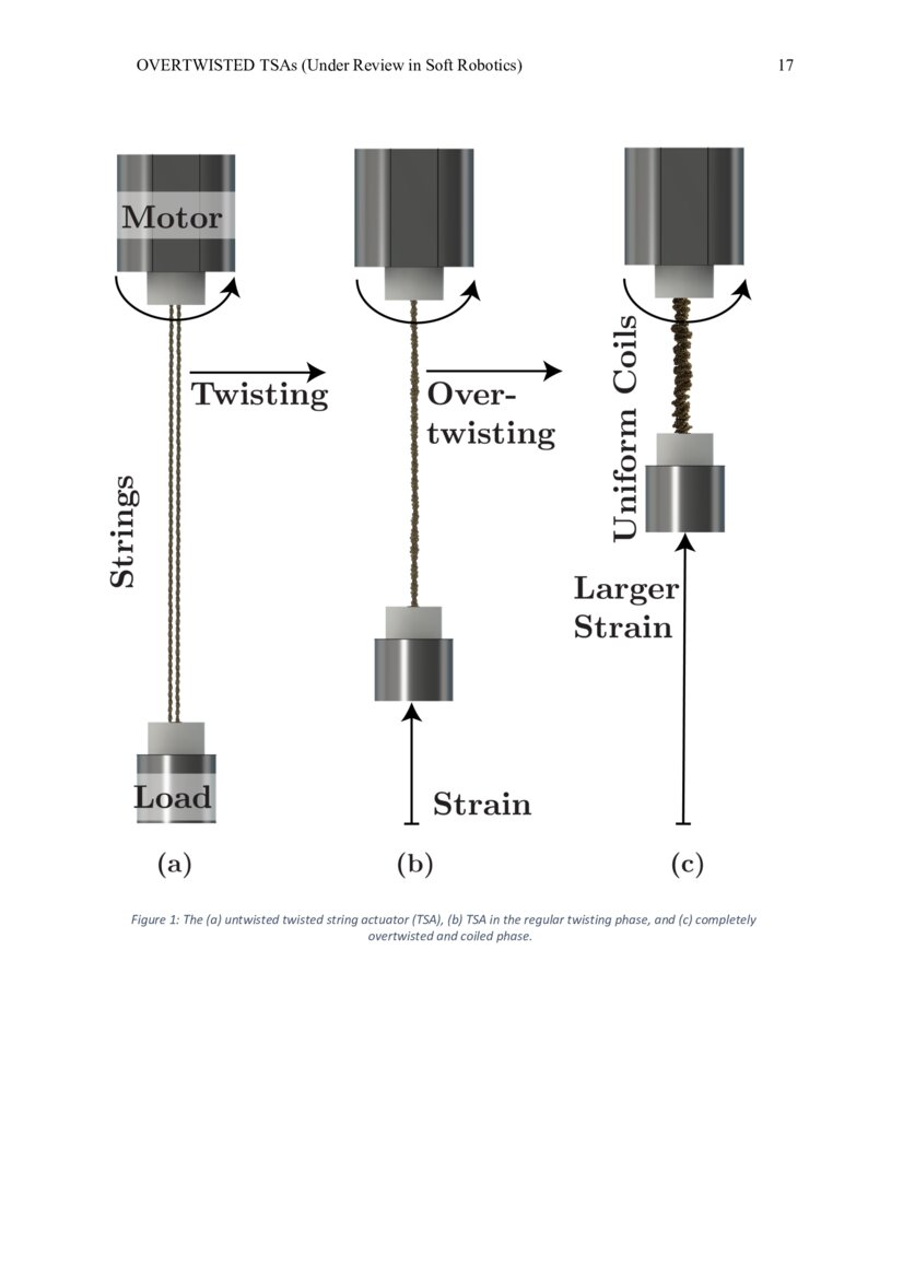 Overtwisting And Coiling Highly Enhances Strain Generation Of Twisted String Actuators Deepai 