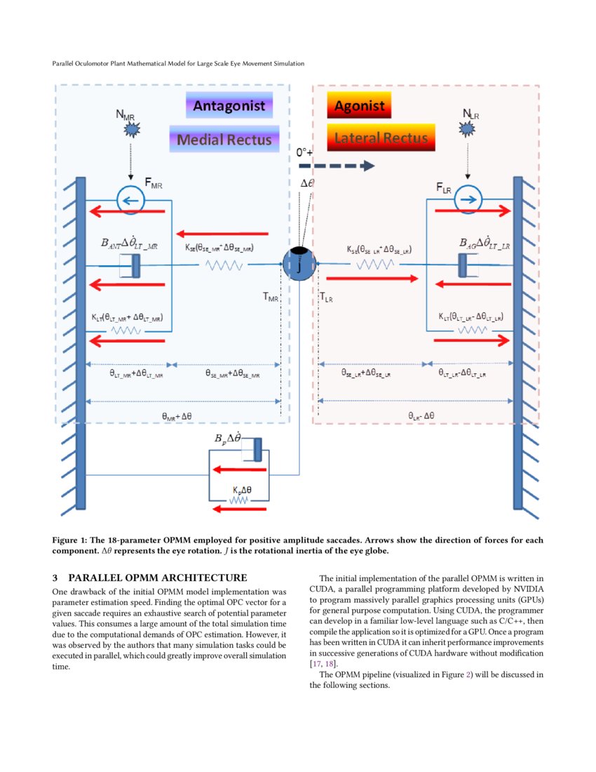 Parallel Oculomotor Plant Mathematical Model for Large Scale Eye ...