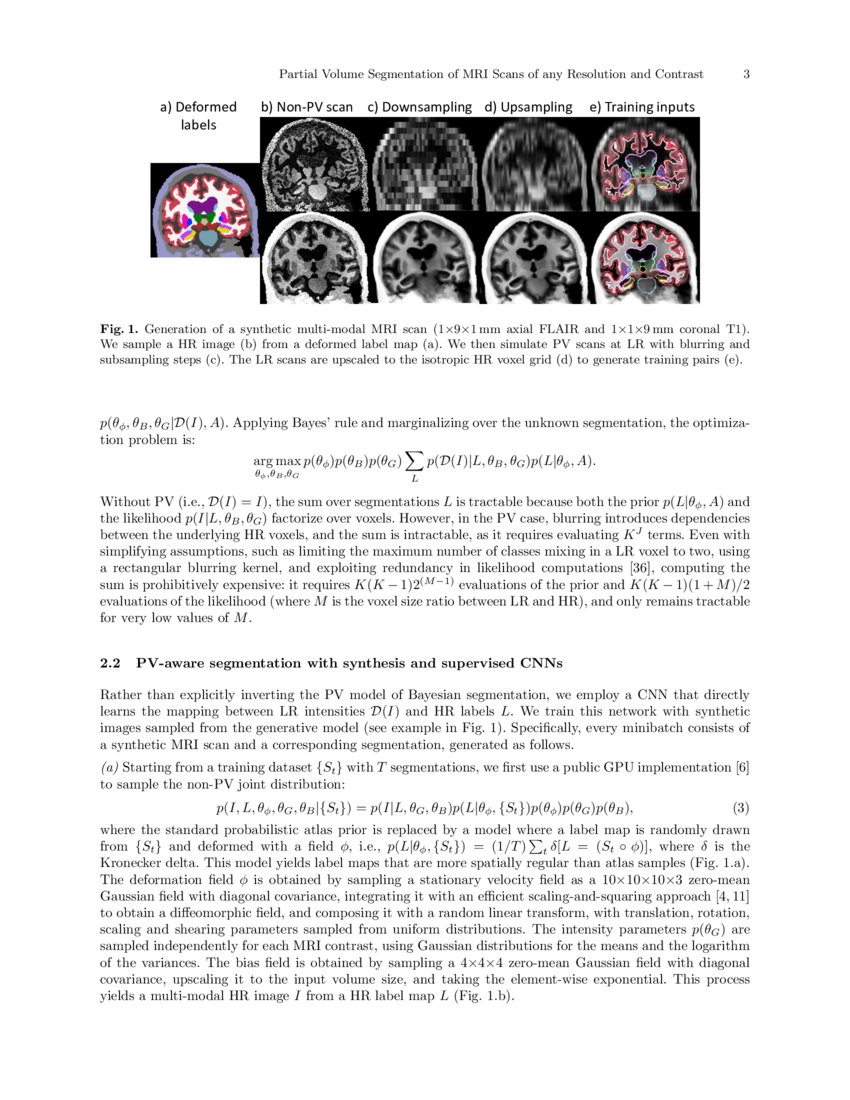 Partial Volume Segmentation of Brain MRI Scans of any Resolution and Contrast | DeepAI