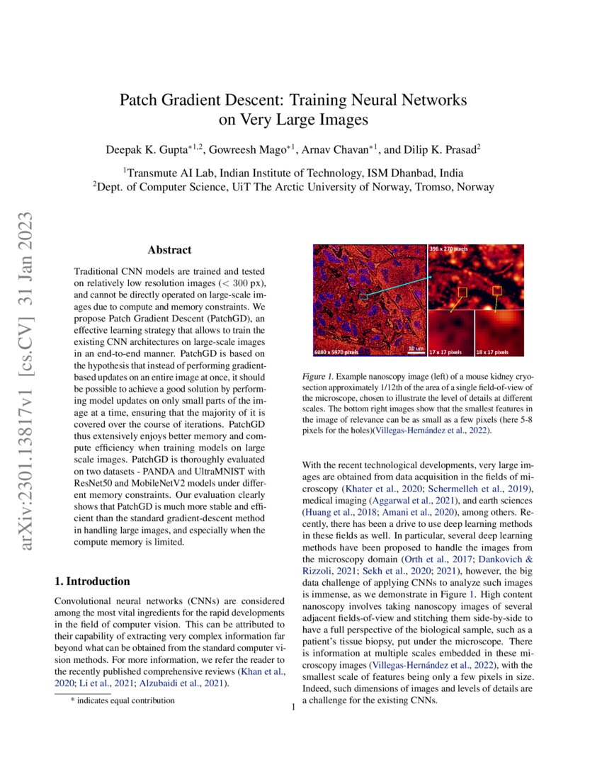 Patch Gradient Descent Training Neural Networks On Very Large Images Deepai