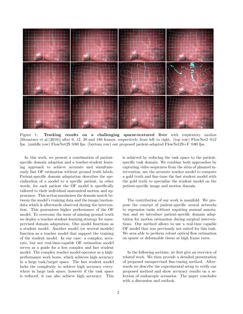 Patient-Specific Domain Adaptation for Fast Optical Flow Based on ...