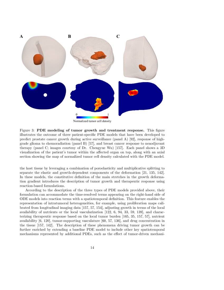 Patient-specific, mechanistic models of tumor growth incorporating ...
