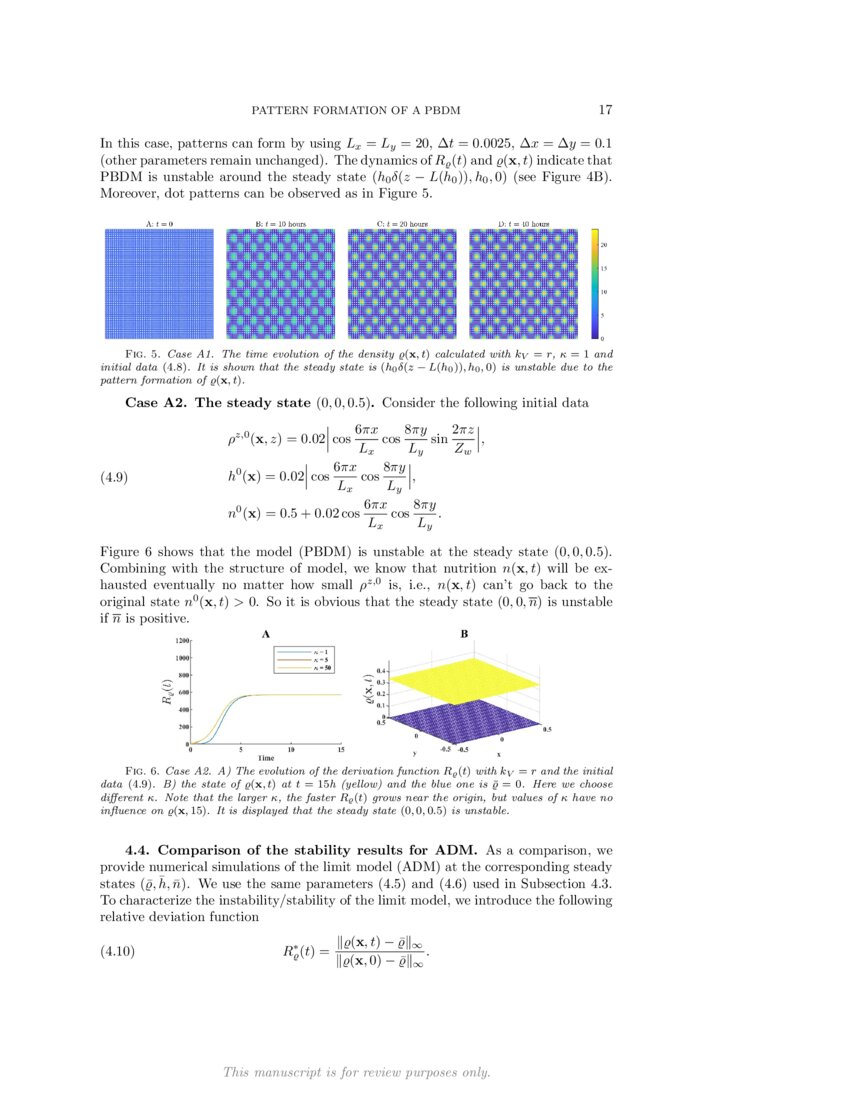 Pattern formation of a pathway-based diffusion model: linear stability analysis and an ...