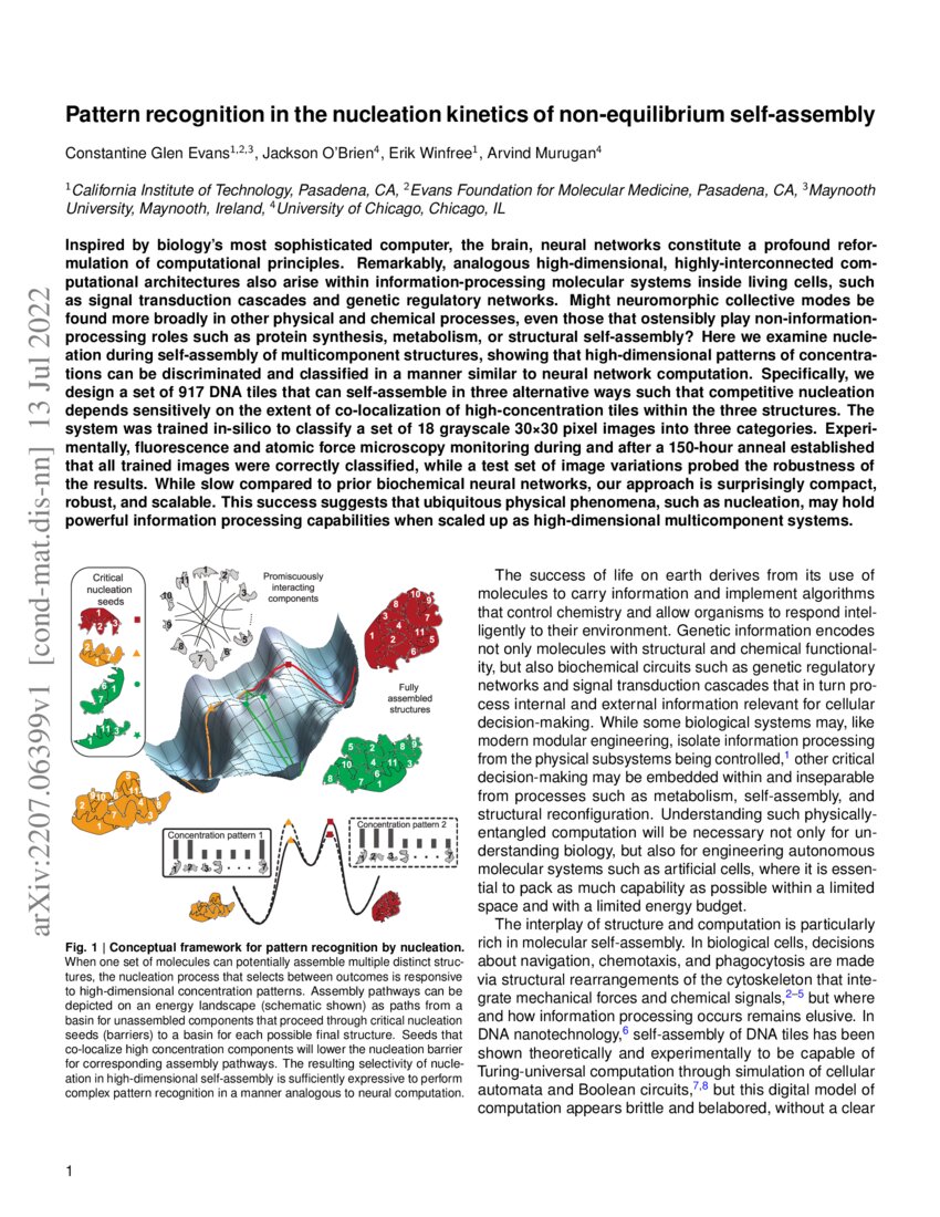 Pattern recognition in the nucleation kinetics of non-equilibrium self ...
