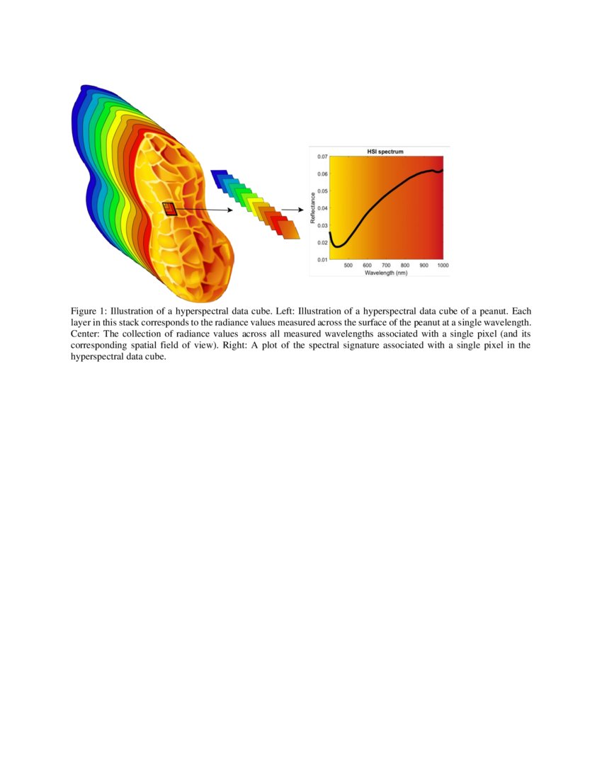 Peanut Maturity Classification using Hyperspectral Imagery | DeepAI