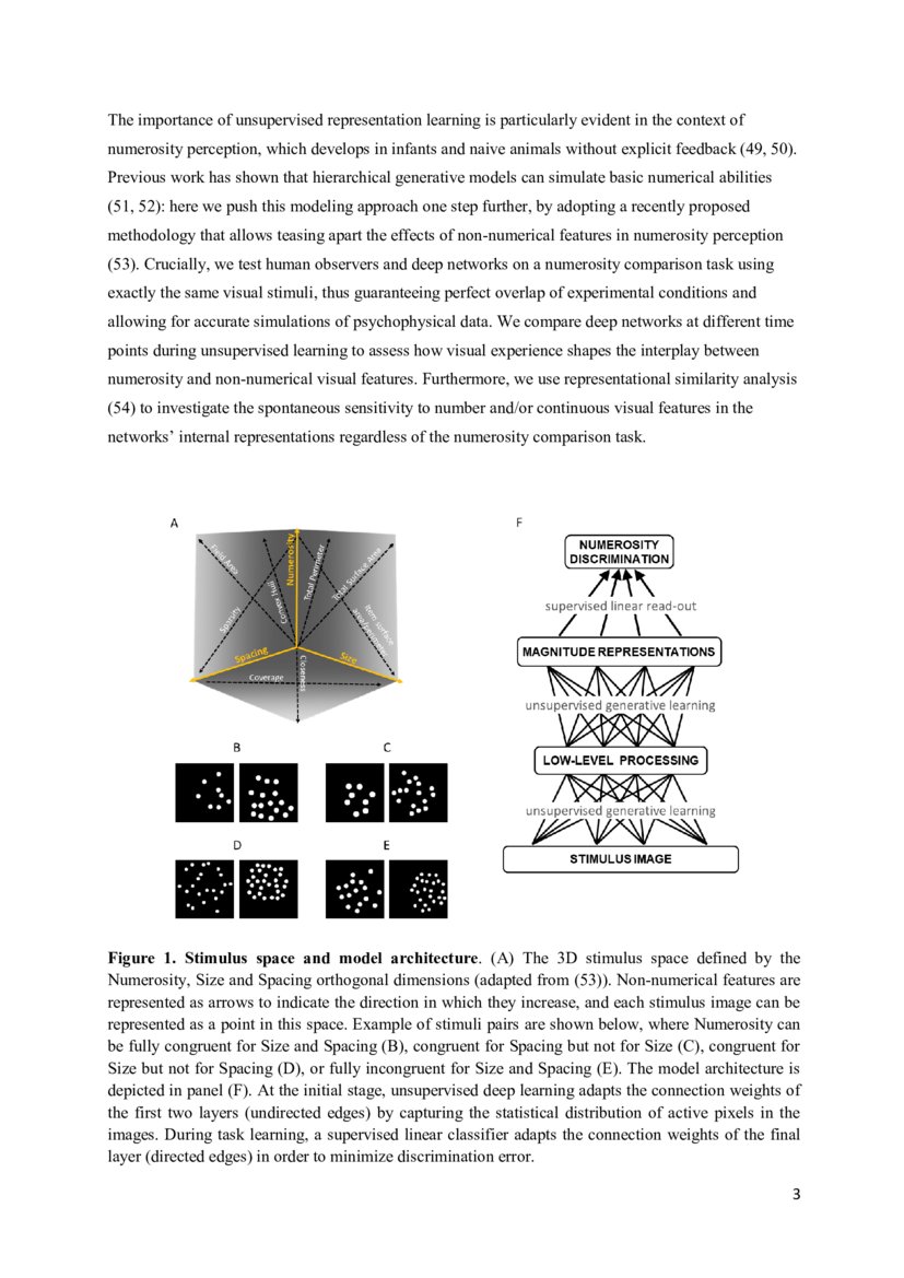 Perception of visual numerosity in humans and machines | DeepAI