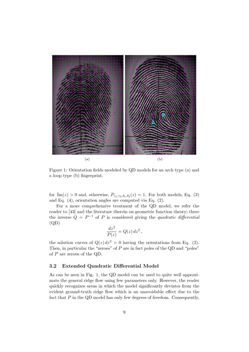 Perfect Fingerprint Orientation Fields by Locally Adaptive Global Models | DeepAI