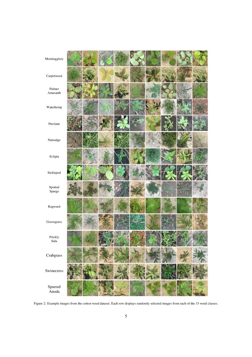 Performance Evaluation of Deep Transfer Learning on Multiclass ...