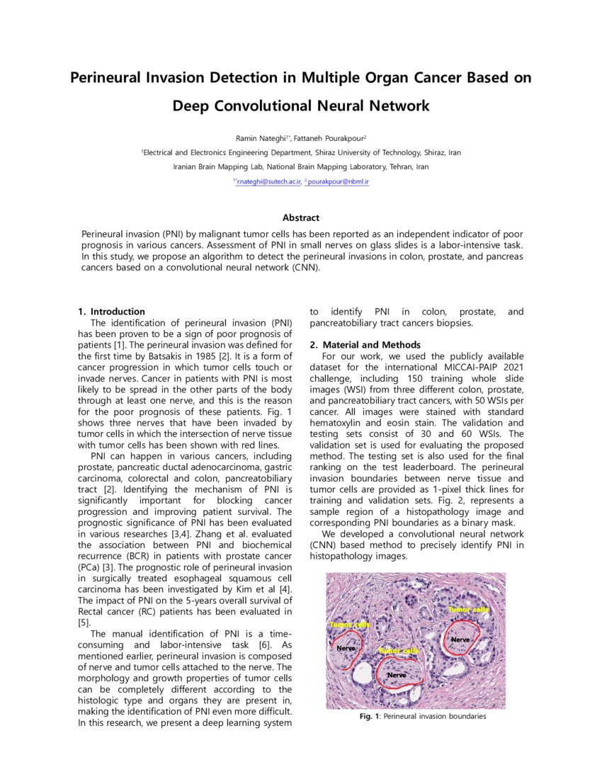 Perineural Invasion Detection in Multiple Organ Cancer Based on Deep Convolutional Neural ...