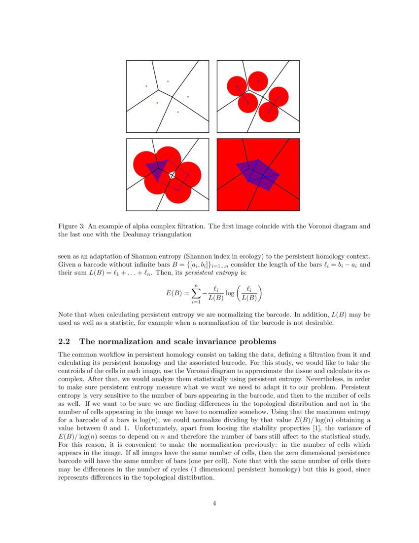 Persistent entropy: a scale-invariant topological statistic for ...