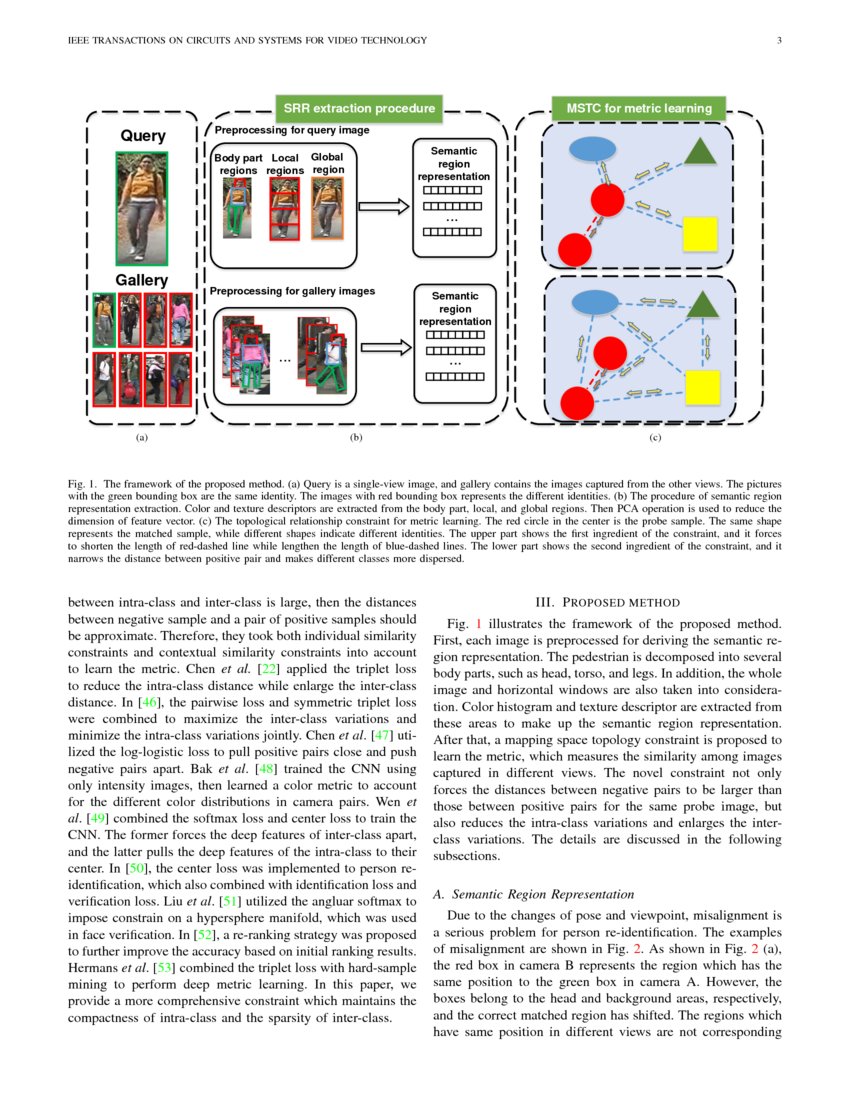 Person Re-Identification by Semantic Region Representation and Topology ...