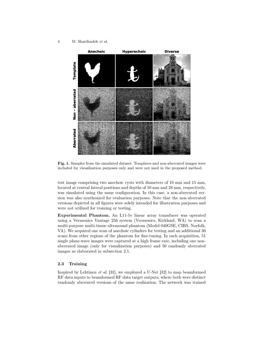 Phase Aberration Correction Without Reference Data An Adaptive Mixed Loss Deep Learning
