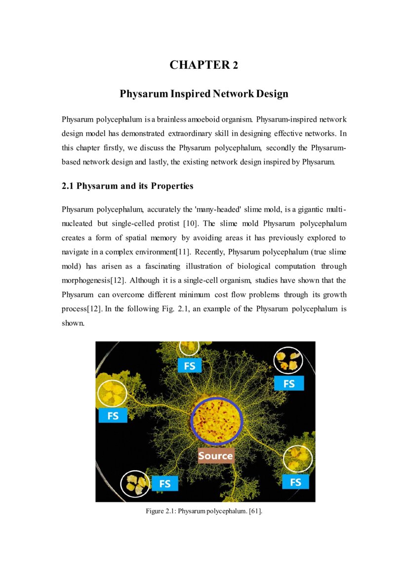 Physarum Inspired Bicycle Lane Network Design in a Congested Mega City | DeepAI