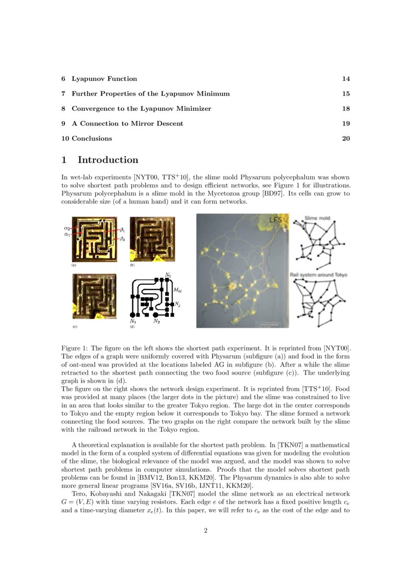 Physarum Multi-Commodity Flow Dynamics | DeepAI
