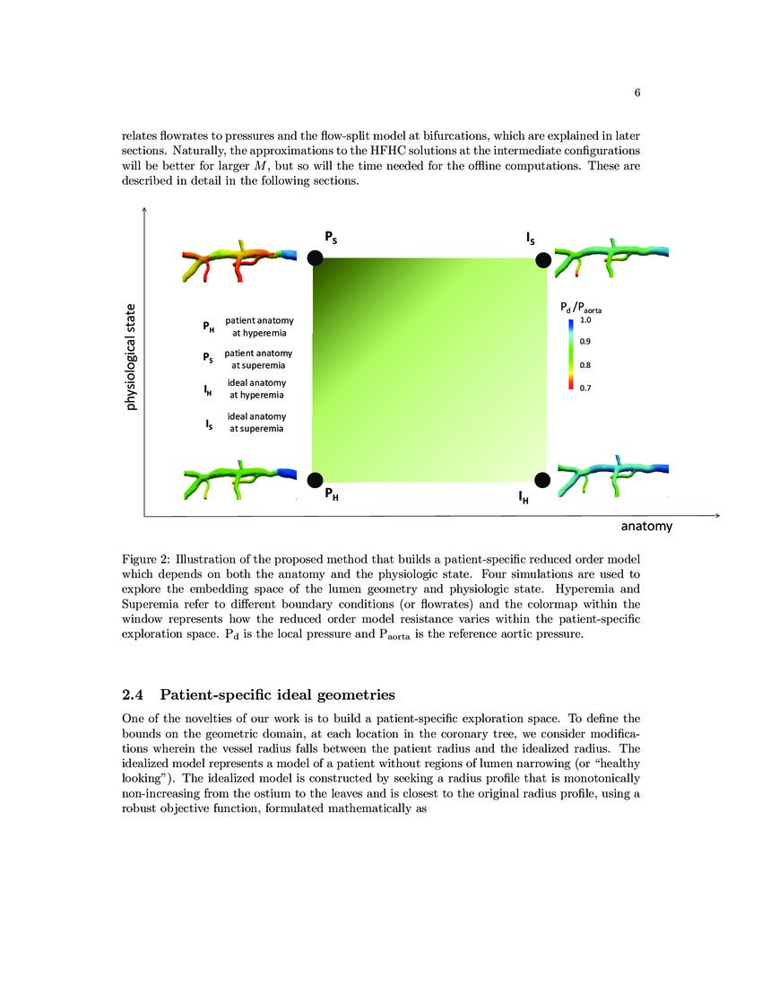 Physics driven reduced order model for real time blood flow simulations ...