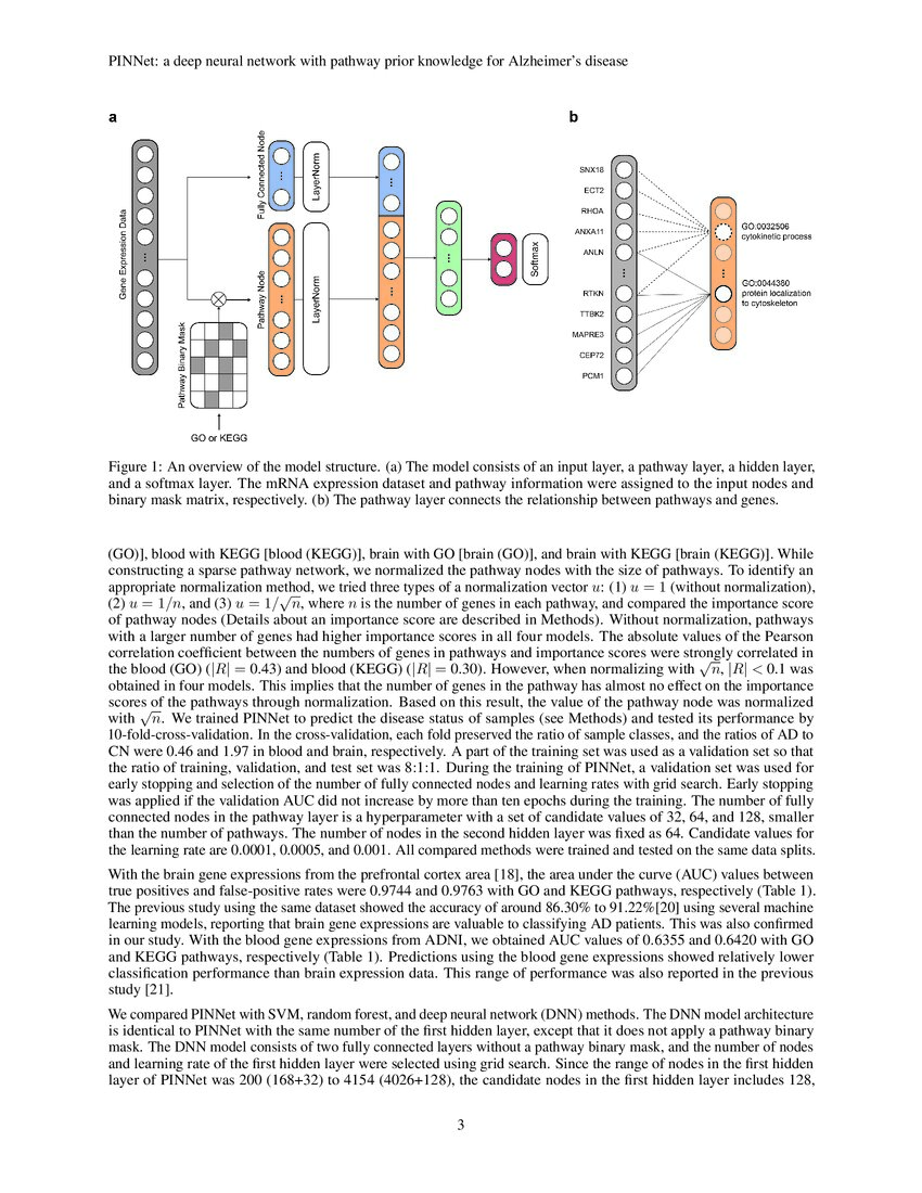 PINNet: a deep neural network with pathway prior knowledge for Alzheimer's disease | DeepAI
