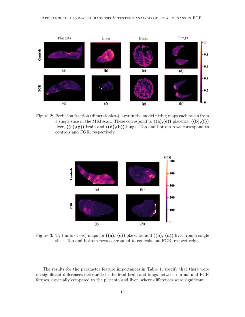 PIPPI2021: An Approach to Automated Diagnosis and Texture Analysis of ...