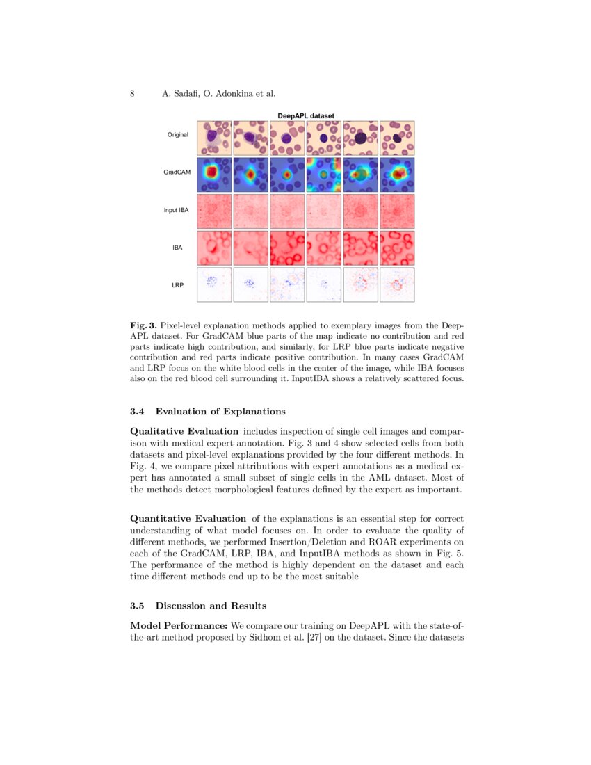 Pixel-Level Explanation of Multiple Instance Learning Models in Biomedical Single Cell Images ...