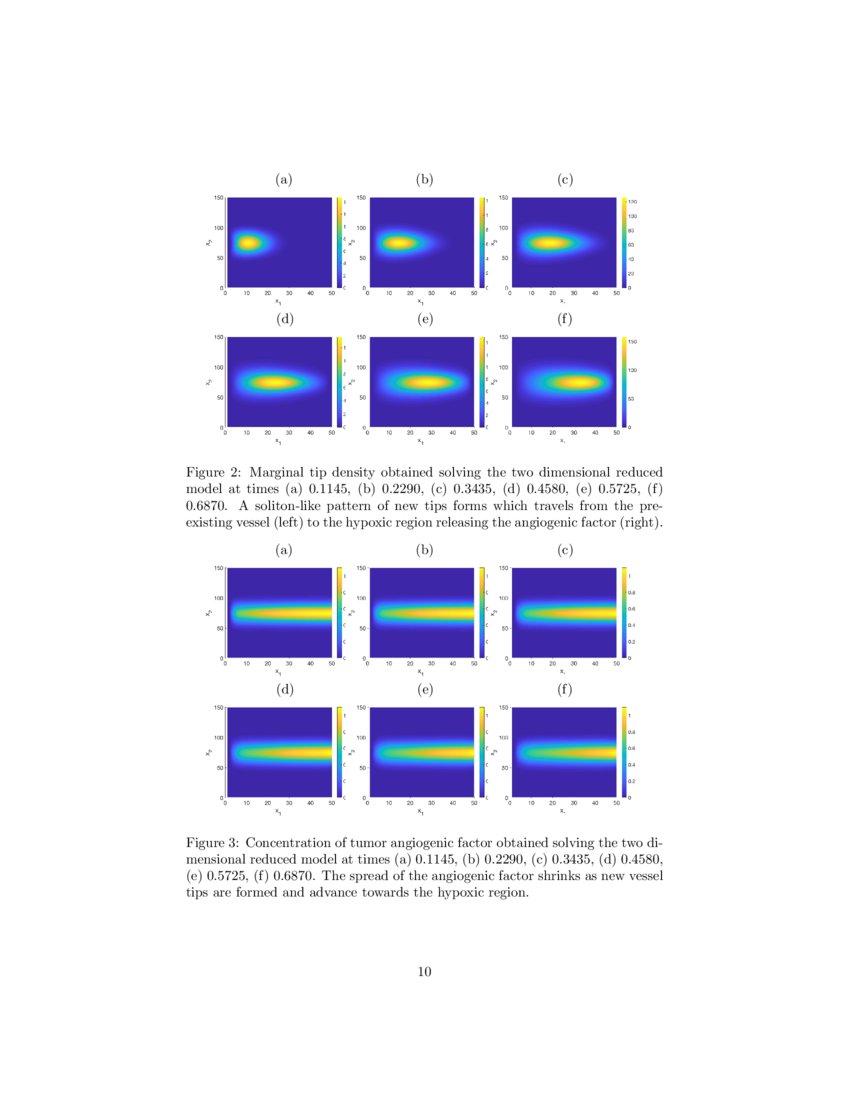 Positivity preserving high order schemes for angiogenesis models | DeepAI