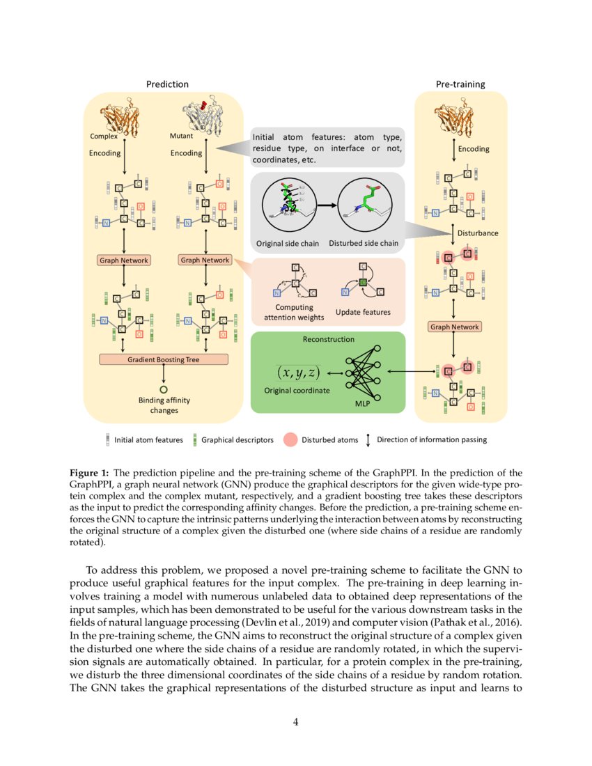 Pre-training of Graph Neural Network for Modeling Effects of Mutations on Protein-Protein ...