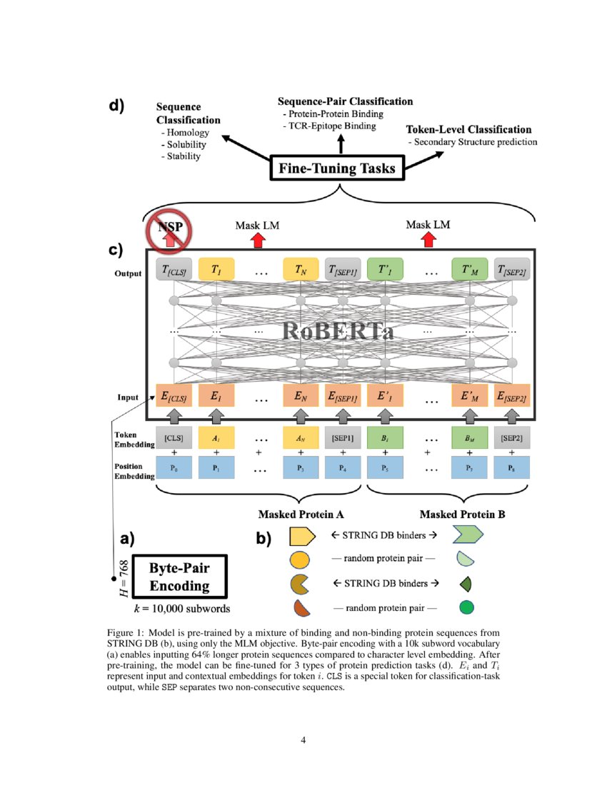 Pre-training Protein Language Models with Label-Agnostic Binding Pairs ...