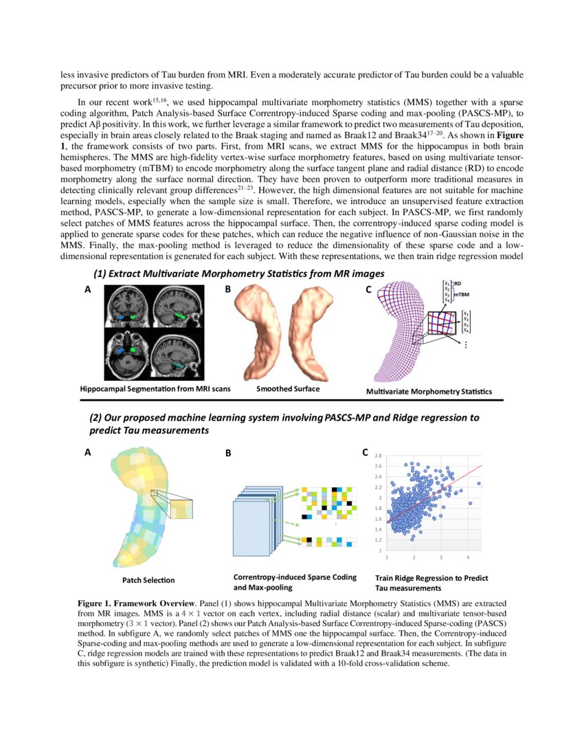 Predicting Tau Accumulation in Cerebral Cortex with Multivariate MRI Morphometry Measurements ...