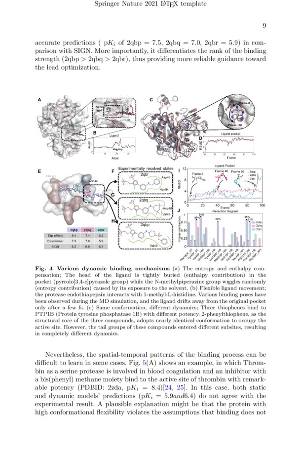 Predicting The Protein Ligand Affinity From Molecular Dynamics