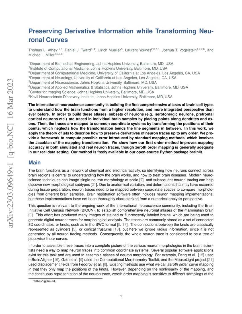 Preserving Derivative Information while Transforming Neuronal Curves | DeepAI