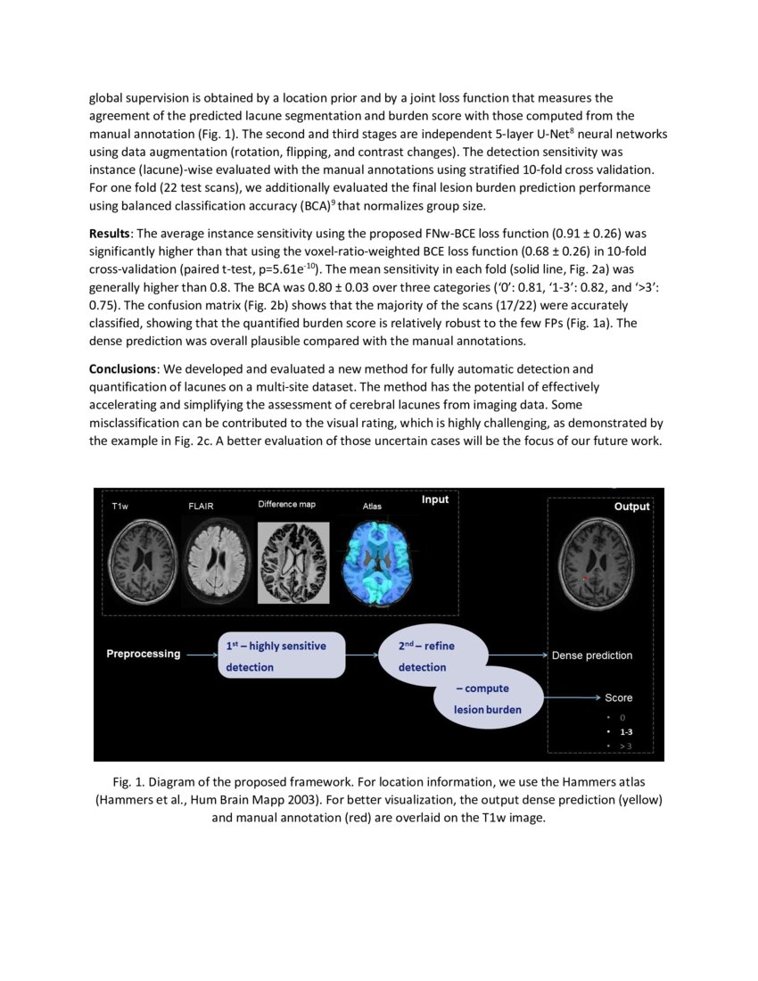 Prior-knowledge-informed deep learning for lacune detection and ...