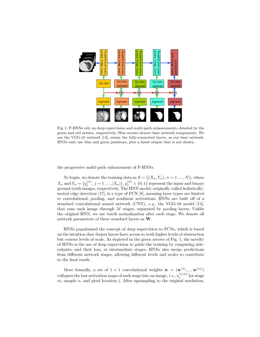 Progressive and Multi-Path Holistically Nested Neural Networks for Pathological Lung ...