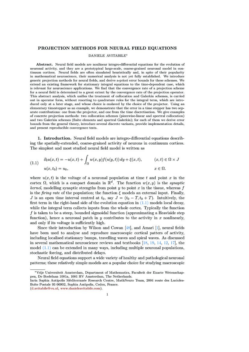 Projection methods for Neural Field equations | DeepAI