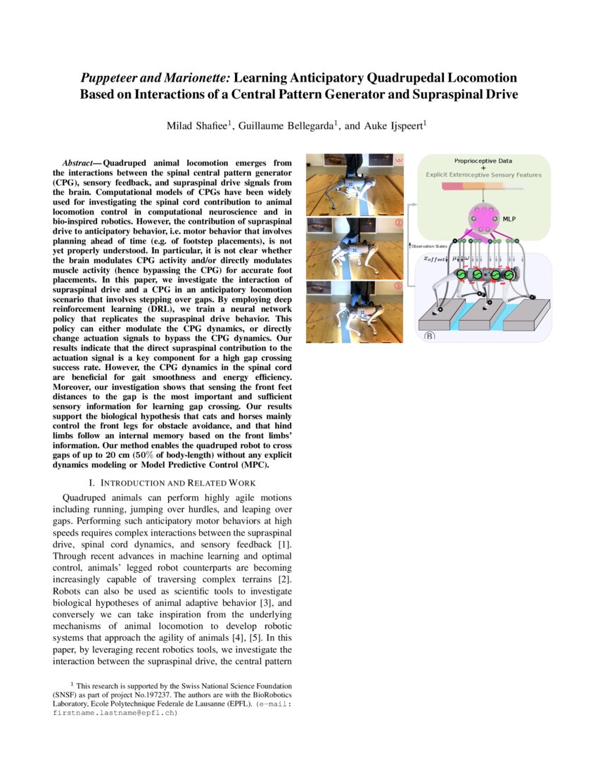 Puppeteer and Marionette: Learning Anticipatory Quadrupedal Locomotion Based on Interactions of ...
