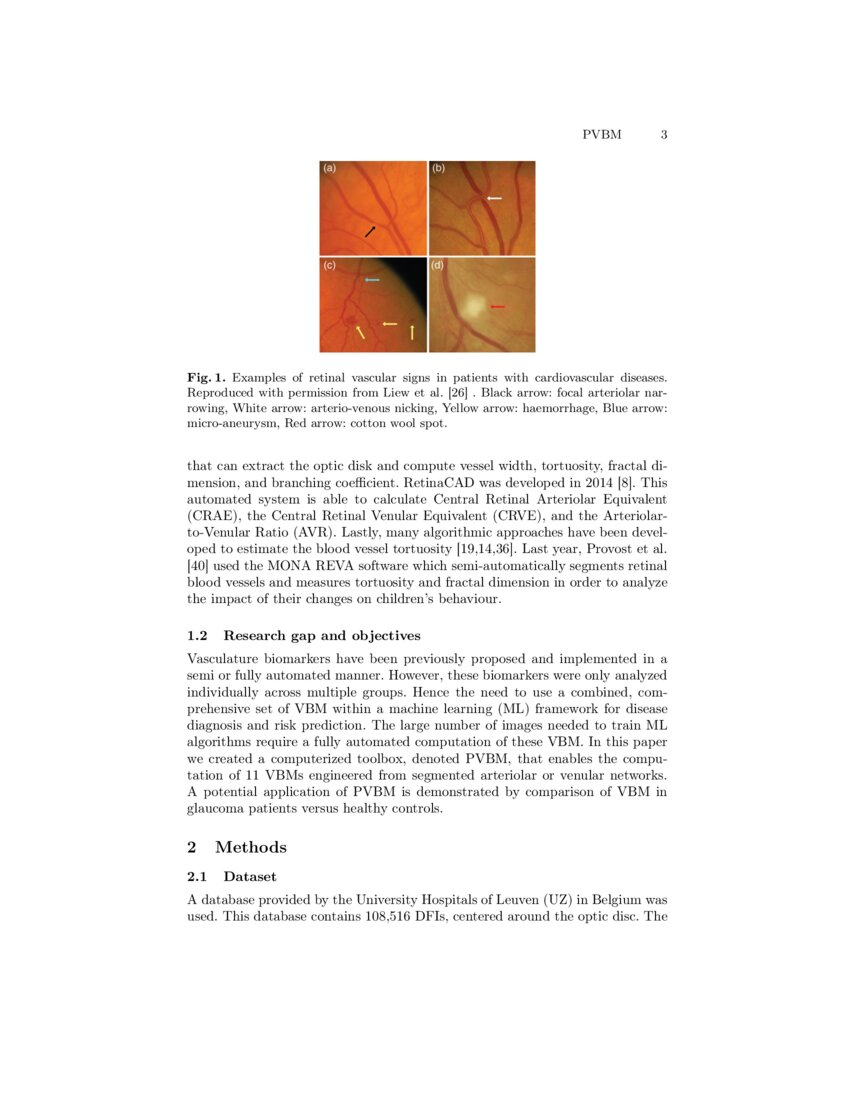 PVBM: A Python Vasculature Biomarker Toolbox Based On Retinal Blood ...
