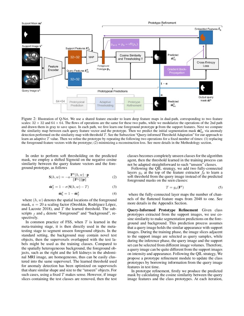 Q Net Query Informed Few Shot Medical Image Segmentation Deepai 