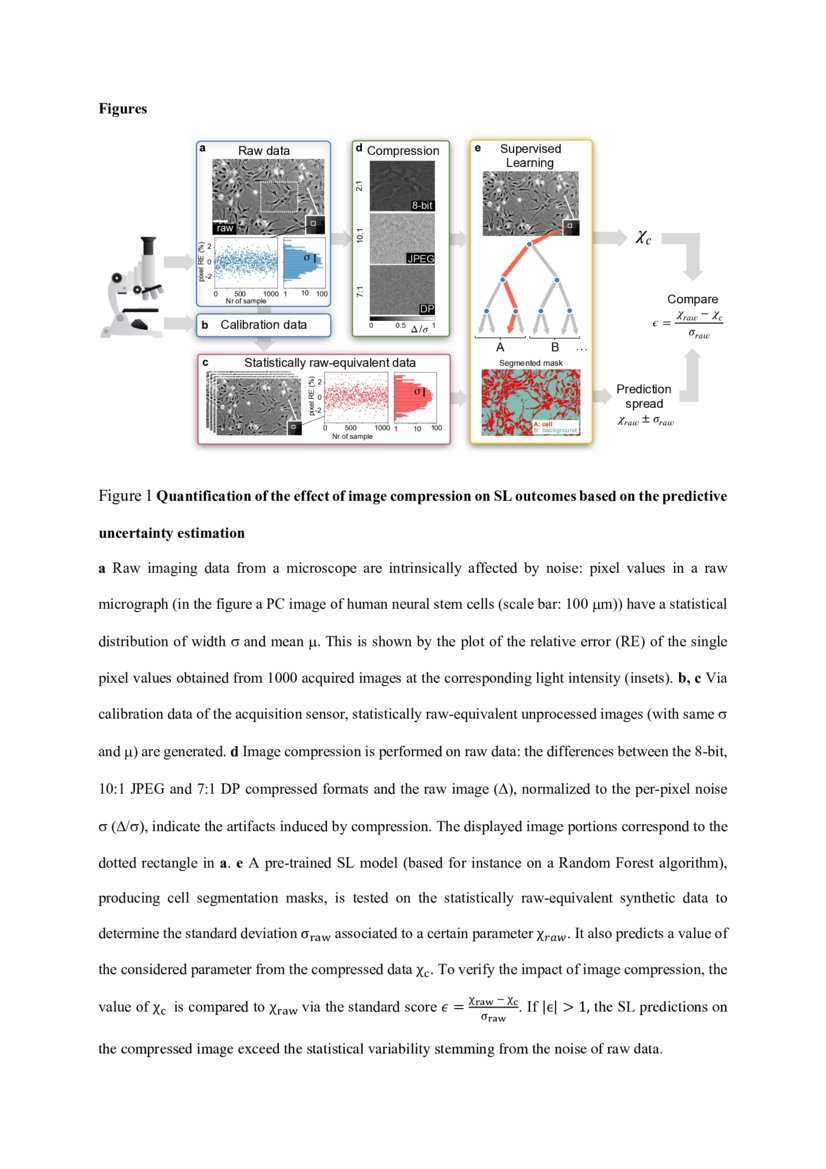 Quantifying the effect of image compression on supervised learning applications in optical ...