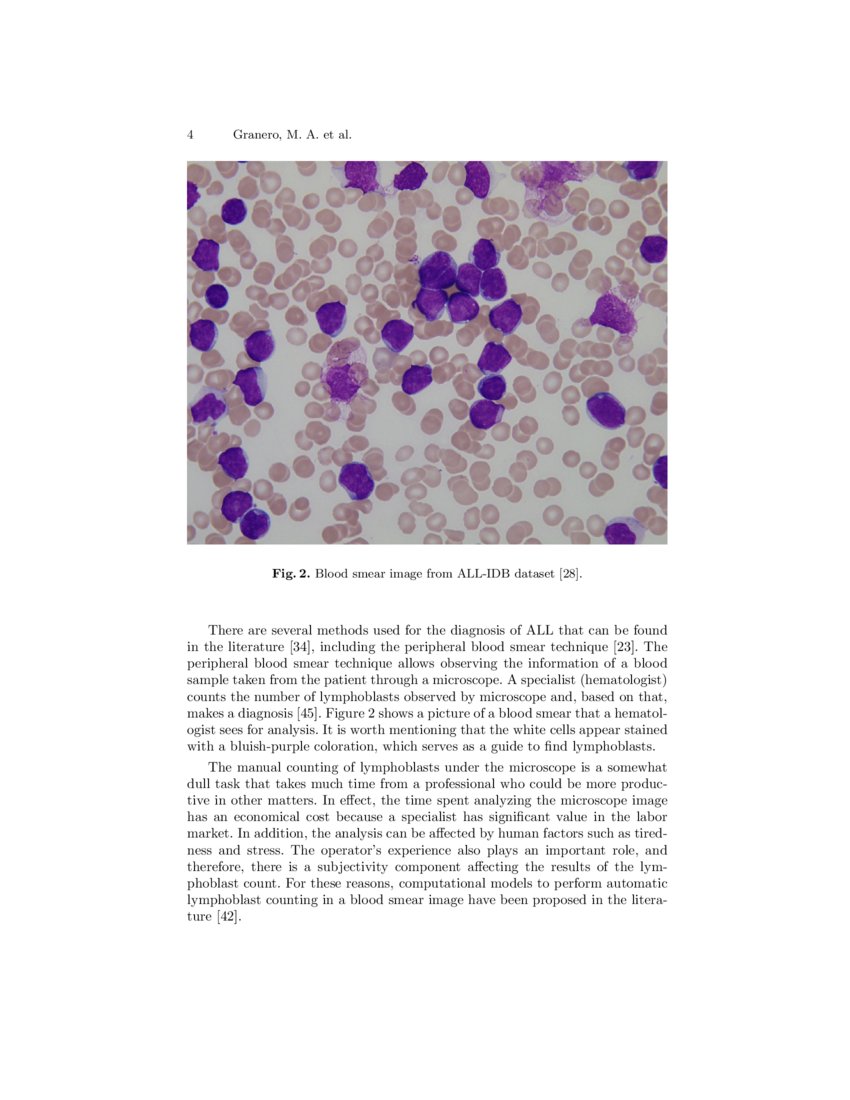 Quaternion-Valued Convolutional Neural Network Applied for Acute Lymphoblastic Leukemia ...