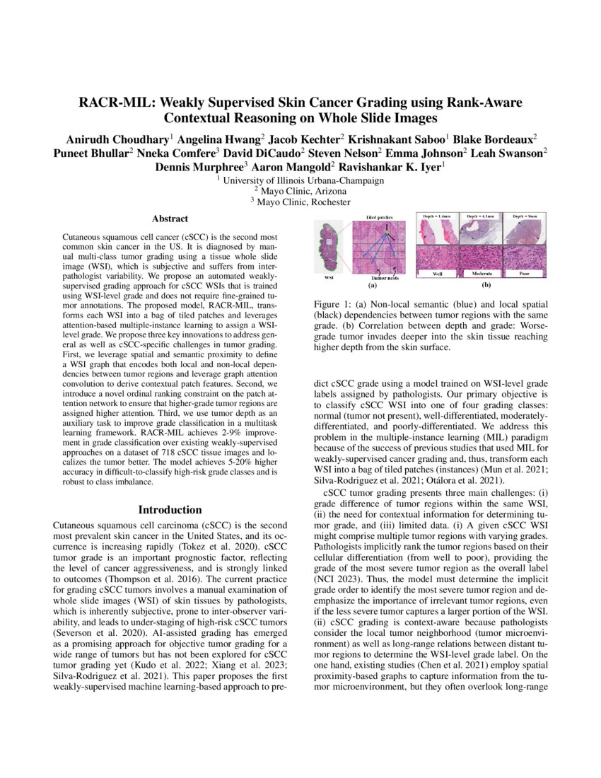 Racr Mil Weakly Supervised Skin Cancer Grading Using Rank Aware Contextual Reasoning On Whole