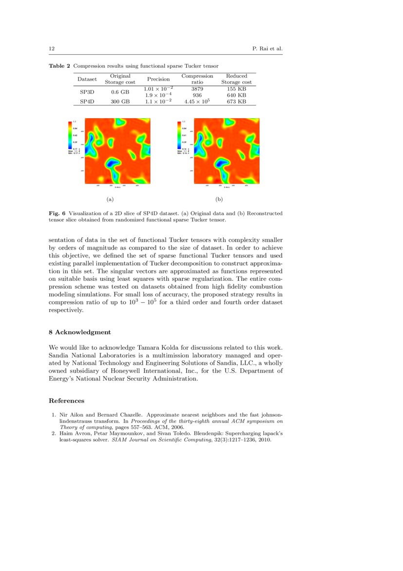 Randomized Functional Sparse Tucker Tensor For Compression And Fast Visualization Of Scientific