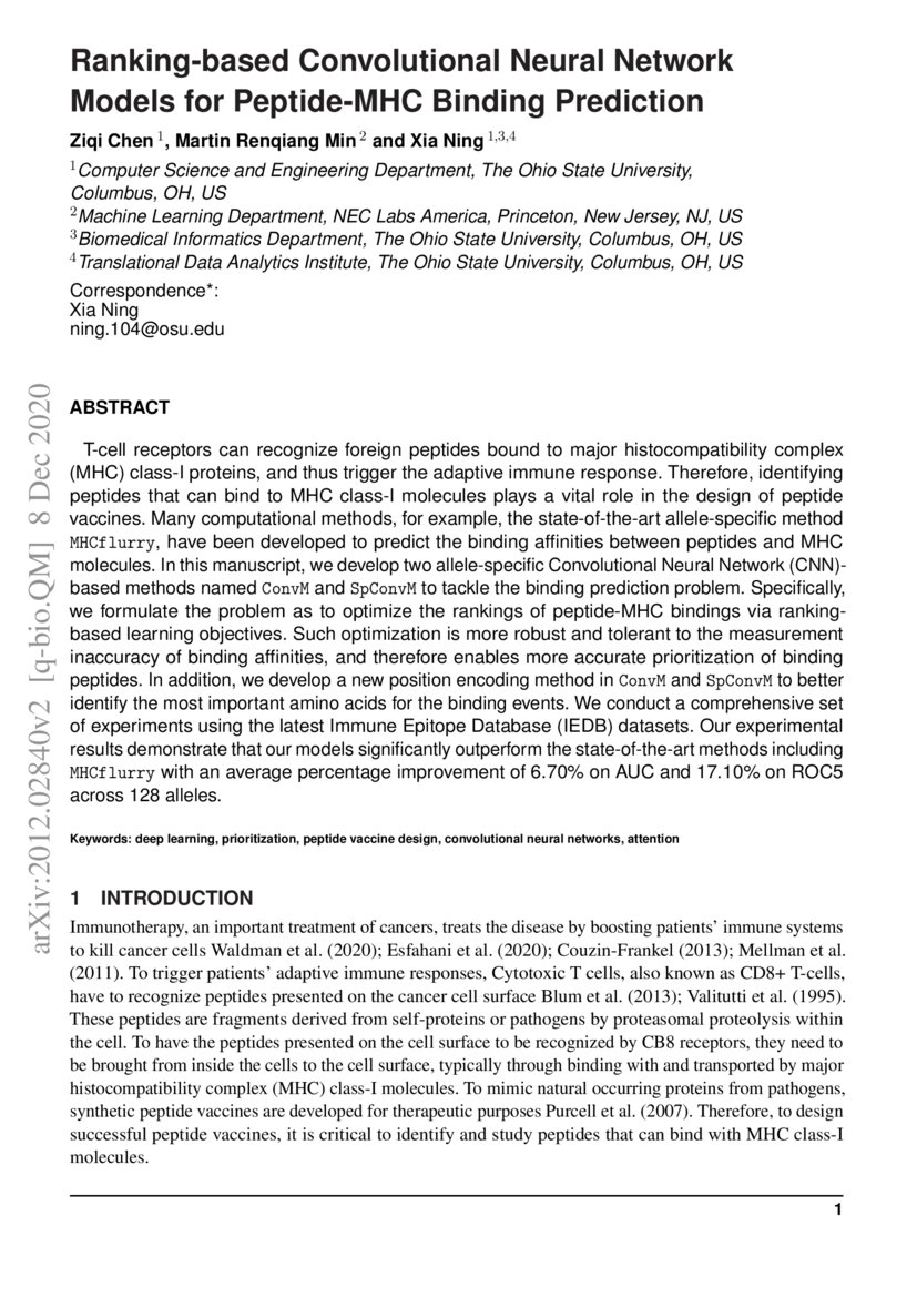 Ranking Based Convolutional Neural Network Models For Peptide Mhc