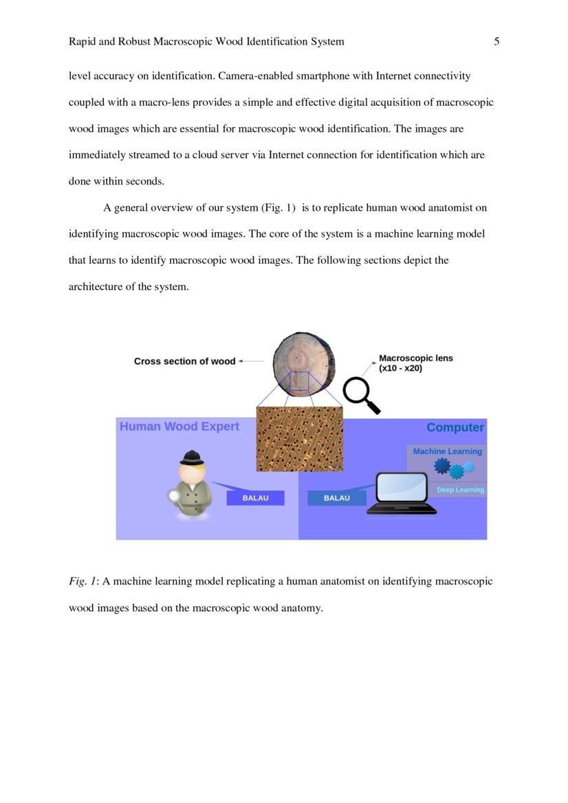 Rapid and Robust Automated Macroscopic Wood Identification System using ...