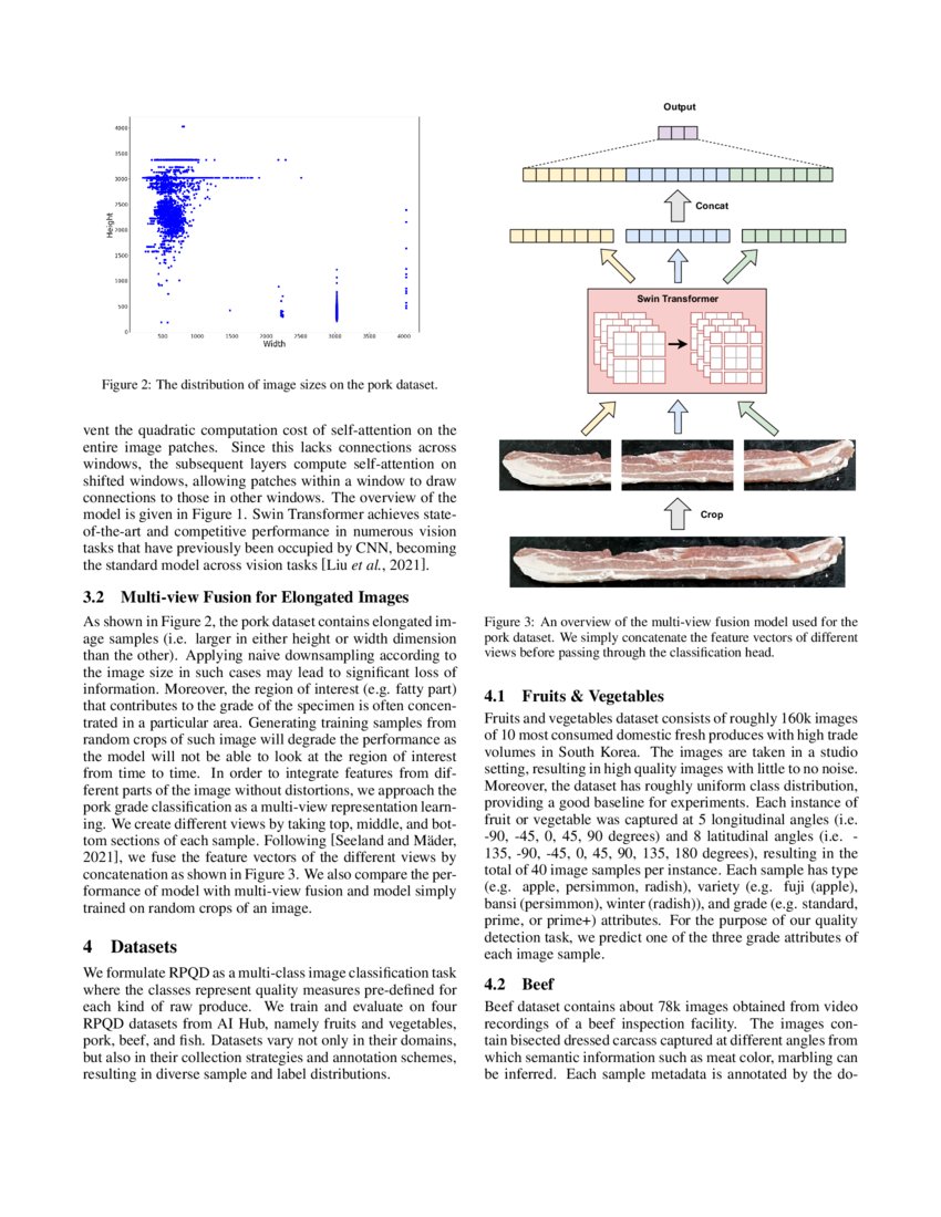 Raw Produce Quality Detection with Shifted Window Self-Attention | DeepAI