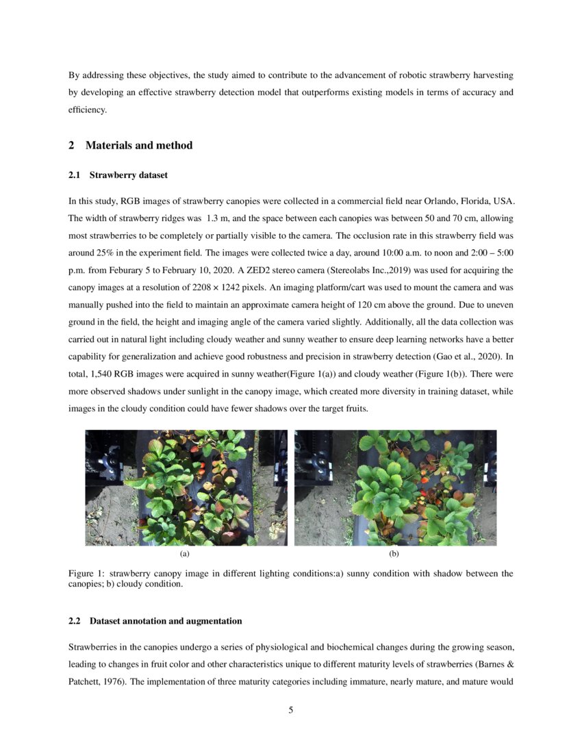 Real-time Strawberry Detection Based on Improved YOLOv5s Architecture for Robotic Harvesting in ...
