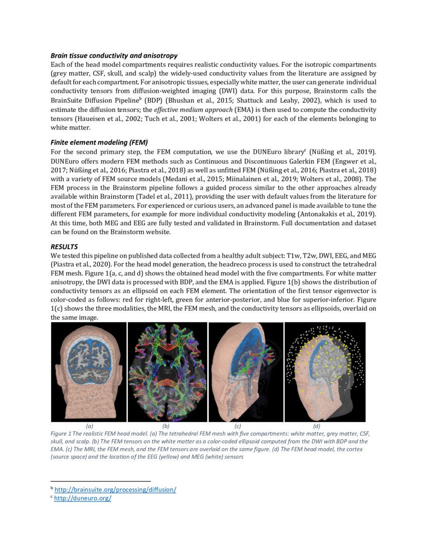Realistic head modeling of electromagnetic brain activity: An ...