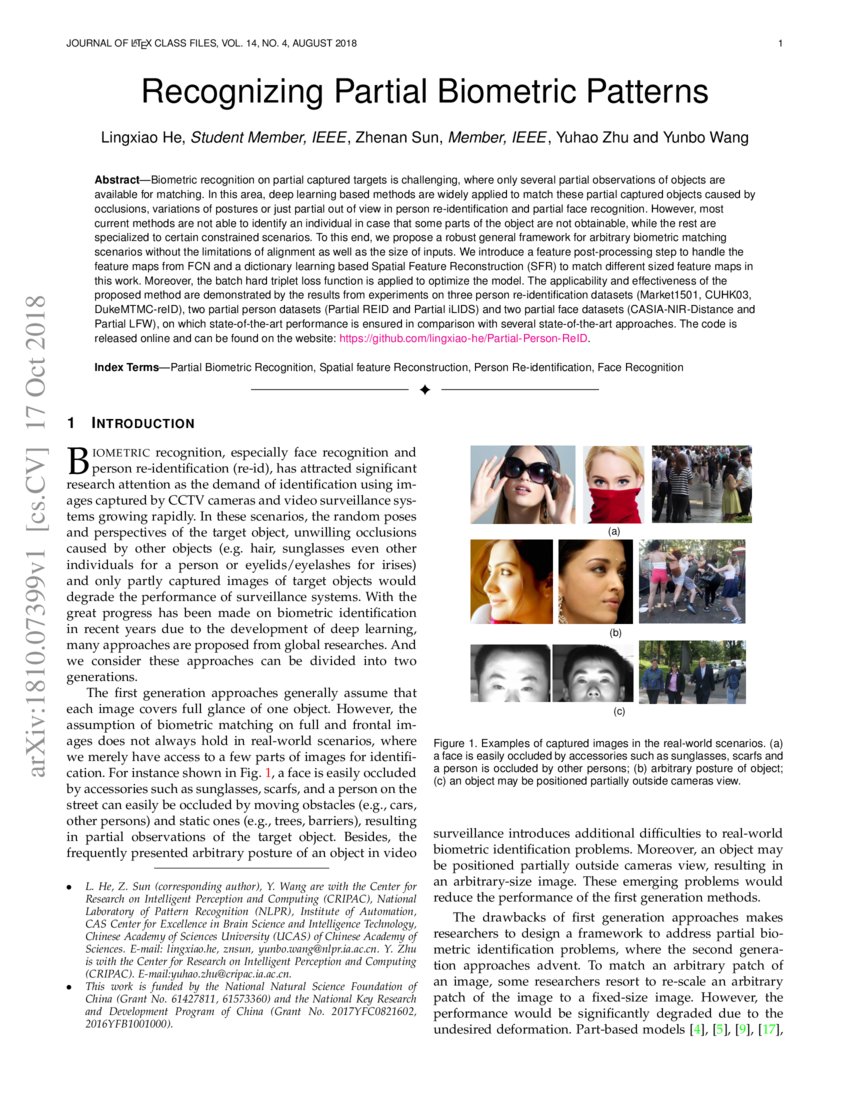 Recognizing Partial Biometric Patterns | DeepAI