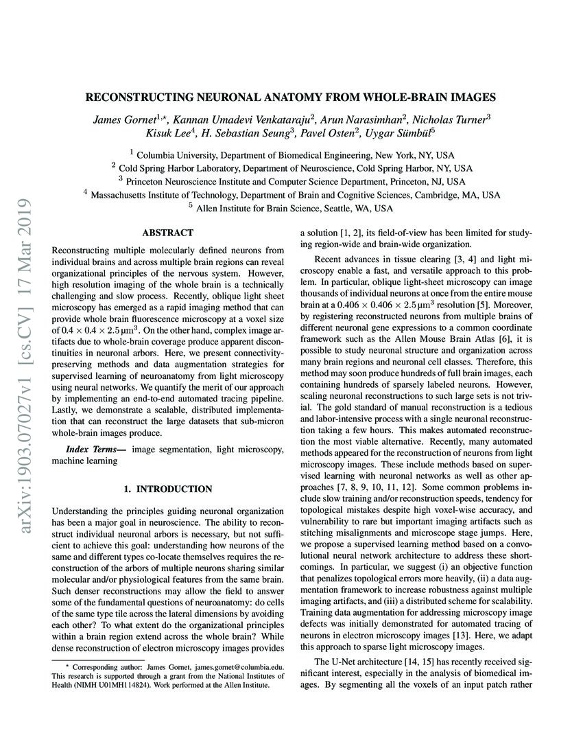 Reconstructing neuronal anatomy from whole-brain images | DeepAI
