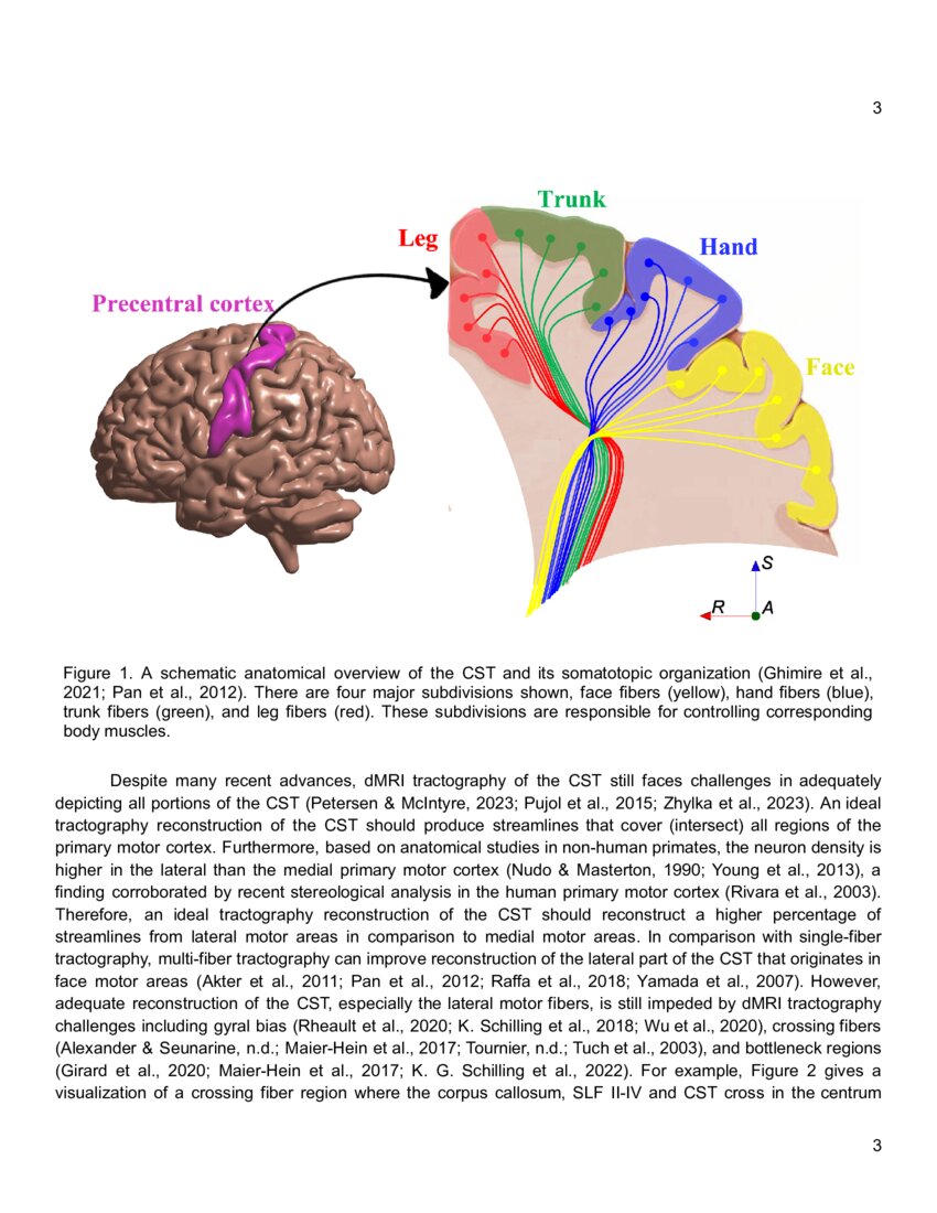 Reconstructing the somatotopic organization of the corticospinal tract remains a challenge for ...