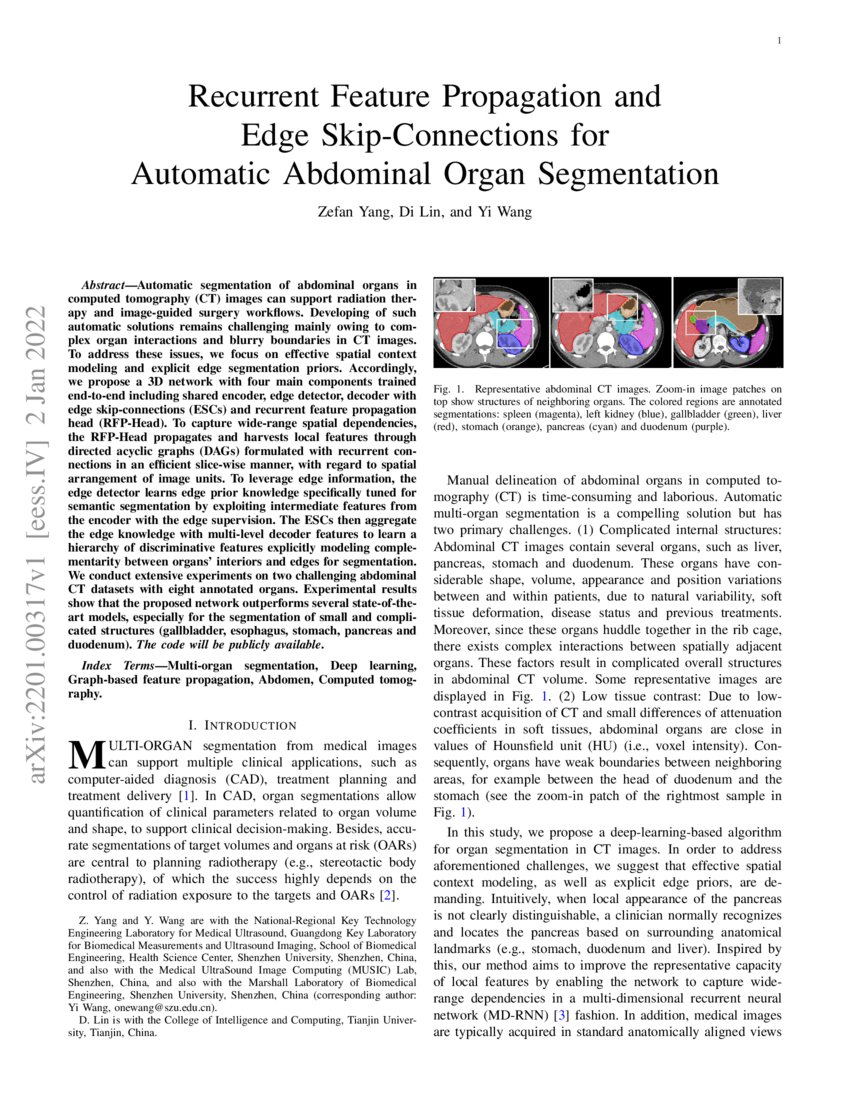 Recurrent Feature Propagation and Edge Skip-Connections for Automatic ...