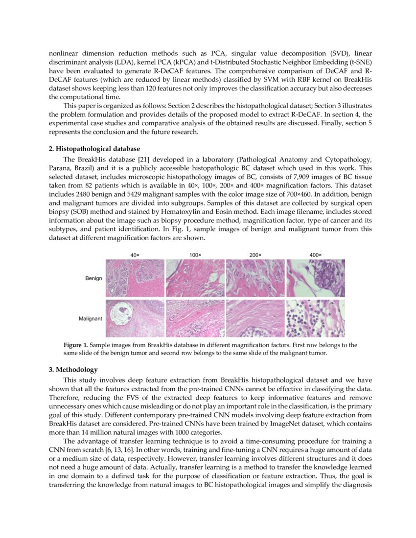 Reduced Deep Convolutional Activation Features (R-DeCAF) in ...