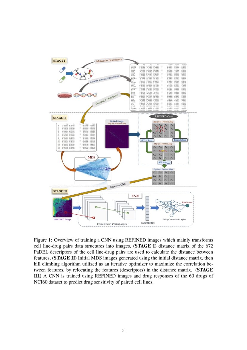 REFINED (REpresentation of Features as Images with NEighborhood ...